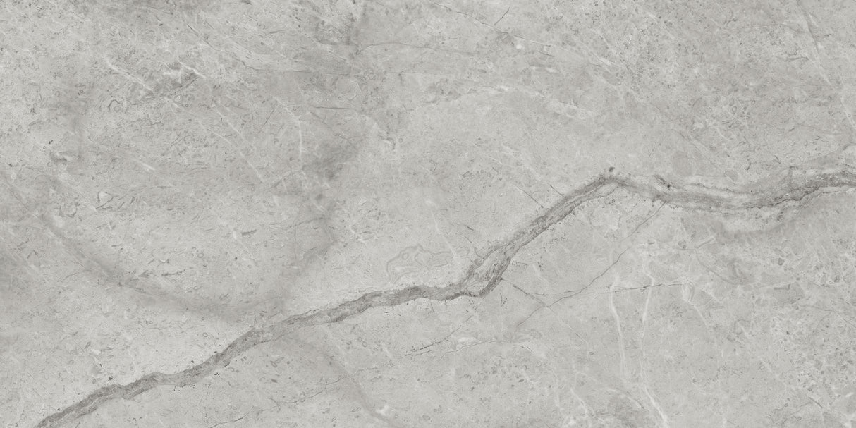 Riviera 12x24 Paradiso Argento Polished Rectangle Tile – Stone Products ...