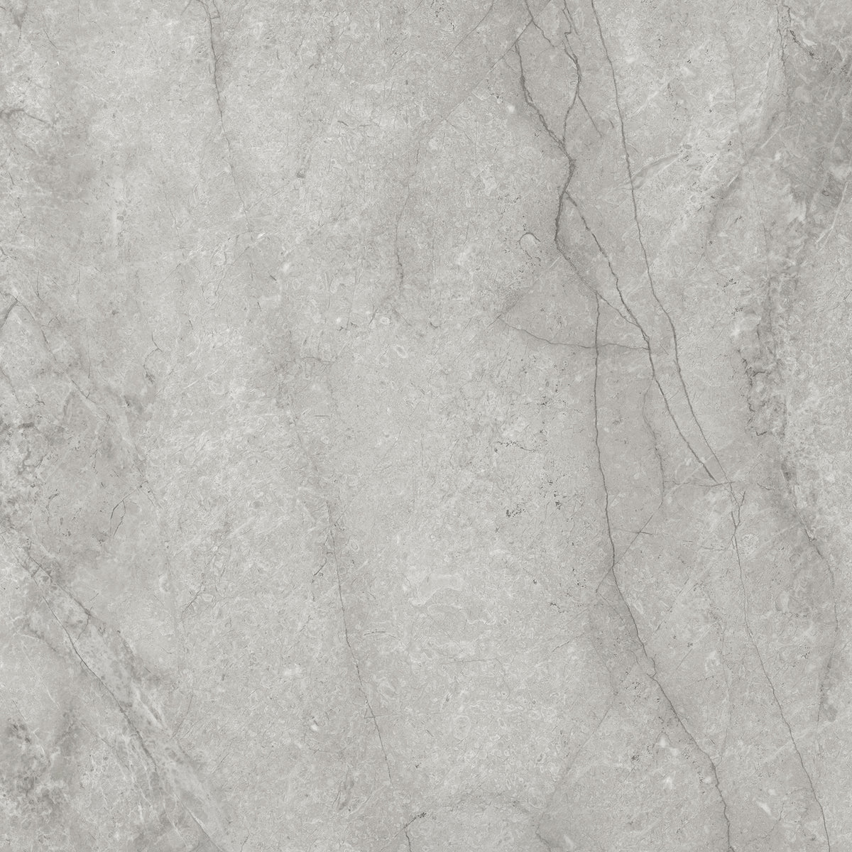 Riviera 24x48 Paradiso Argento Polished Rectangle Tile – Stone Products ...