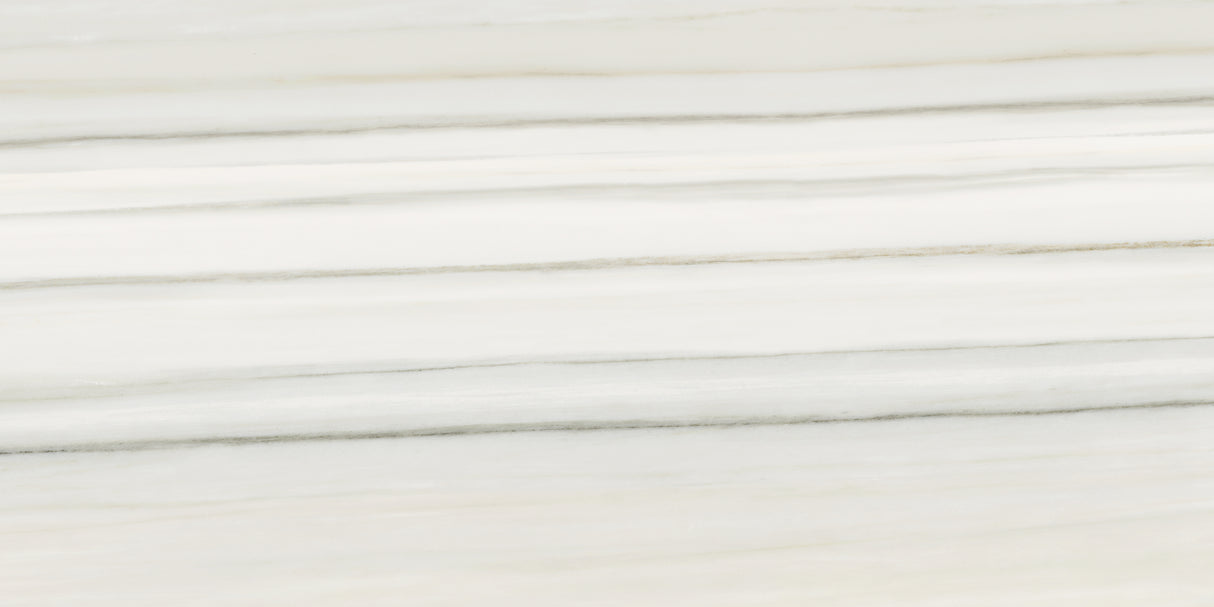 Cosmopolitan 16x32 Zebrino Polished Rectangle Tile – Stone Products ...