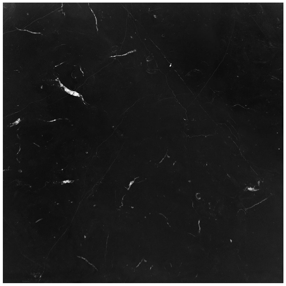 12x12 Nero Marquina Honed Square Tile – Stone Products Unlimited